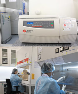 RESEARCH & SUPPORT - SICRES